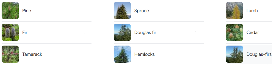 Go Paperless with Constructionplace.com – ConstructionPlace